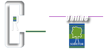 SODEFOR/DSI/SS - E-RISKSODEFOR