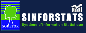 SODEFOR/DSI/SS - E-RISKSODEFOR